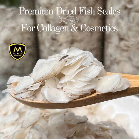 Premium Dried Fish Scales – For Collagen & Cosmetics from Vietnam ...