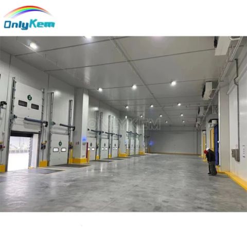 Steel Structure Freezer Cold Room Project for Food Warehouse Logistics ...