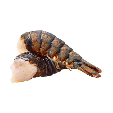 Frozen Fresh Jumbo Size Live Rock Lobster Green Lobster with Whole Tail ...