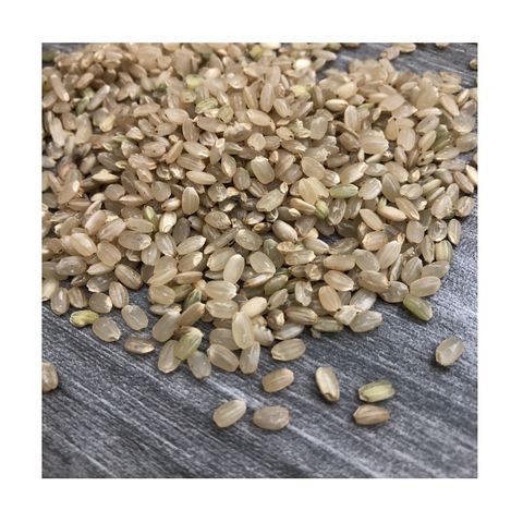 BROWN RICE VIETNAMESE RICE OEM PACKAGE HACCP CERT LOGO HEALTHY LONG ...