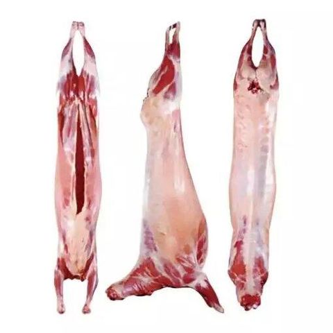 PREMIUM QUALITY HALAL FRESH CHILLED GOAT MUTTON MEAT/ LAMB MEAT CARCASS ...