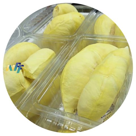 High Quality Fresh Durian, Fresh Cut Durian, in box. Monthong durian ...