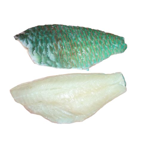 Frozen Parrot fish Fillet Skin On Boneless Size 50-100gr High Quality ...