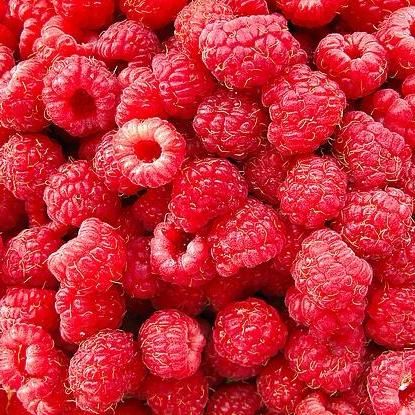 China factory frozen raspberry whole frozen blackberry IQF fruits from ...