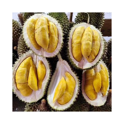 Premium High Quality Hill Fresh Musang King Durian D197 Famous Tropical ...