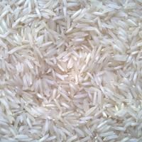 Pure White Rice 5% from France - Sell wholesale by Soupin Jean Stephane ...