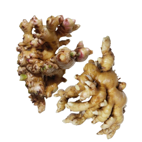 ginger High Specification organic using for many purposes TCVN packing ...