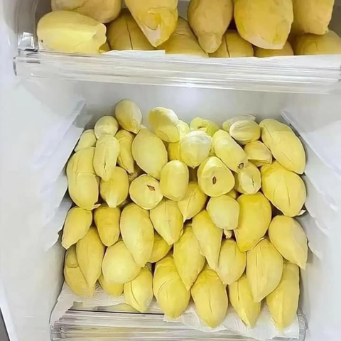 Wholesaler Fresh Durian Monthong Fresh Durian, Flesh Durians For Sale ...