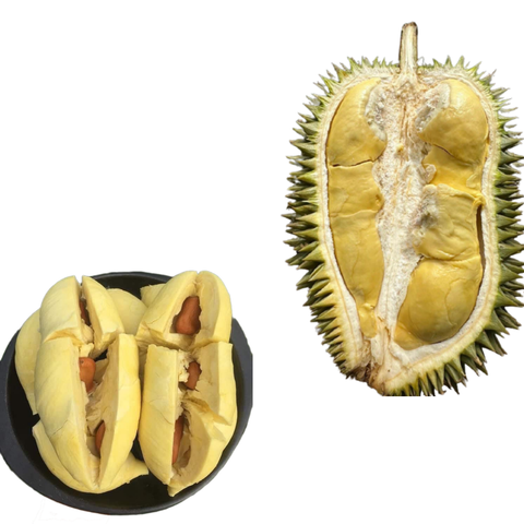 King Durian The New Fresh Durian Ri6 Eat Directly Sweet And Fatty Taste ...