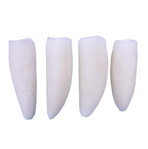 Frozen Cuttlefish Fillet (Rolled) High Quality IQF Bulk Pack 10.0 kgs ...