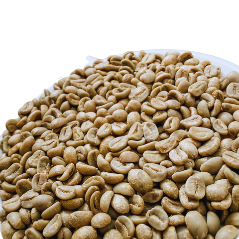 Robusta Green Coffee Beans Screen 16 Red Honey Processing With Long ...