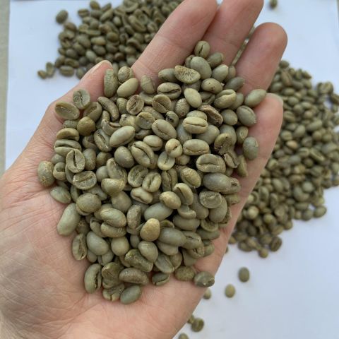Unwashed Arabica Green Coffee Beans Screen 18 - AGRO AFRIQUE COMPANY ...