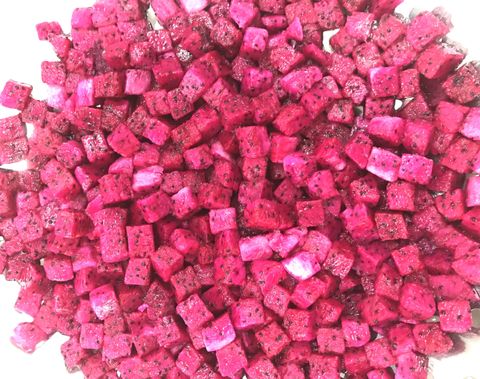 Wholesale Premium quality Frozen Red Dragon Fruit Good choice tropical ...