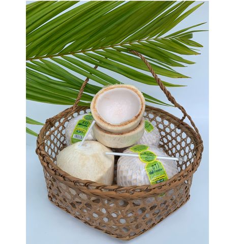 100% fresh coconut from Mekong Delta Convenient Diamond Cut Shape ...