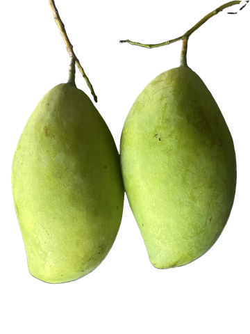 Susu Gold Mango Thai - Ermin Management Co.,Ltd.