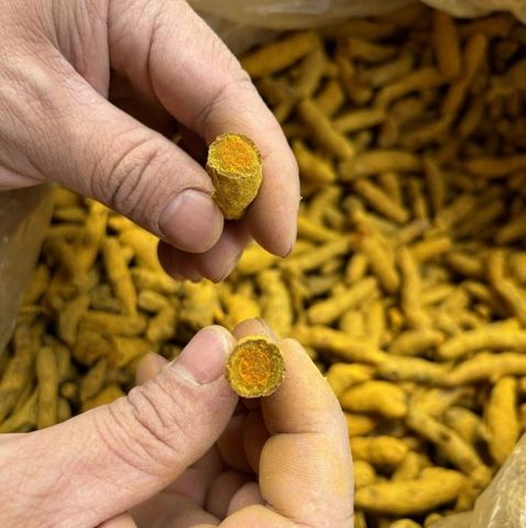 Bulk Wholesale Supplier Natural Organic Curcuma Longa Organic Yellow ...