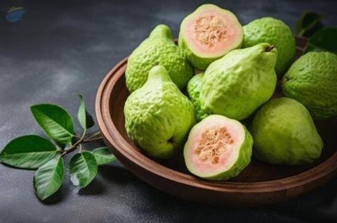 Guava Fruit Pulp - 24 Royal Bloom Fze LLC