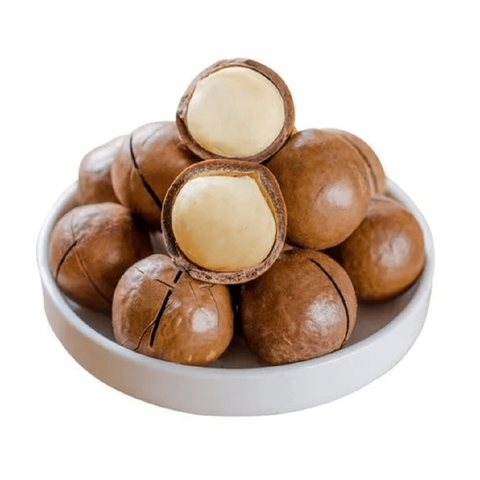Premium Grade Vietnamese Raw Macadamia Nuts with shell - Raw/ Salted ...