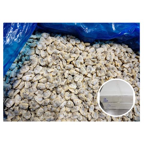 Frozen Boiled Variegated Clams for Vietnam Market - Buy Wholesale ...