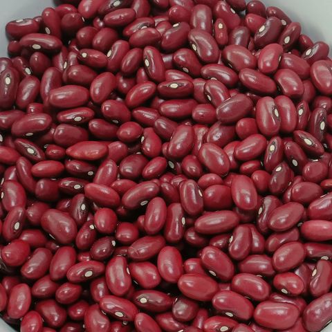 Premium Fresh Harvest 2024 Ethiopian Red Kidney Beans, Direct from Farm ...