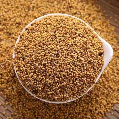 Top grade Steam treatment spice seasoner natural dried mustard seed ...