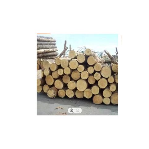 130KW Energy Saving Industrial wood Logs of 6 ft length and durable ...