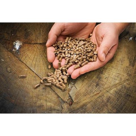 Bio-based fertilizer pellets from Belgium - Freshdi