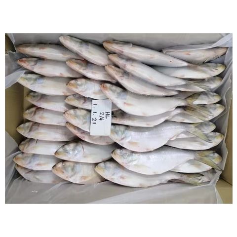 Exporters in Bangladesh offer a variety of hot price products ...