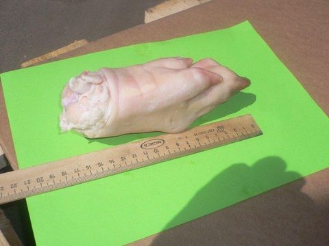 Frozen Pork Front Feet, Frozen Pork Hind Feet from United States ...