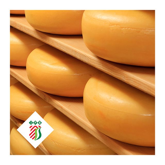 Edam cheese Holland The Netherlands Dutch wholesale halal premium ...