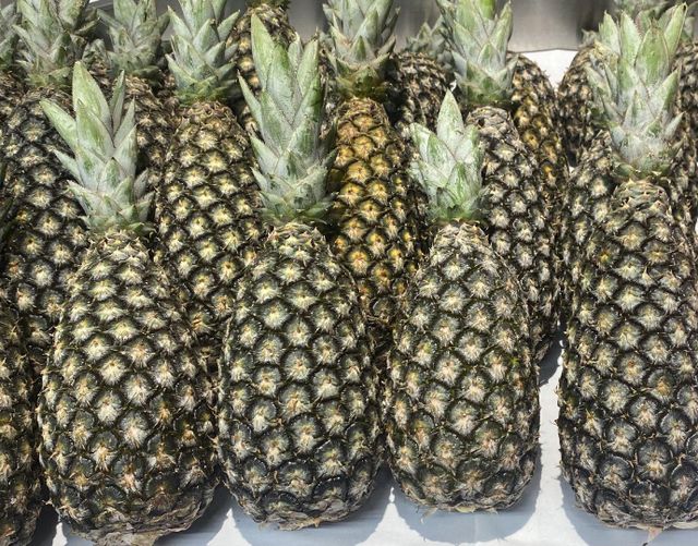 Sugarloaf Benin Pineapple Form Long Color Green Organic Yes Price Term ...