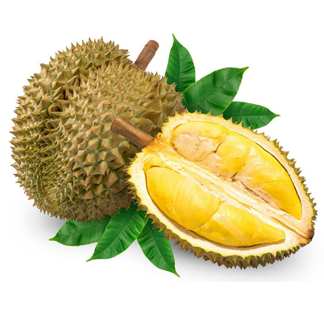 Durian is exported in large quantities Grade NEW Type DURIAN Style ...
