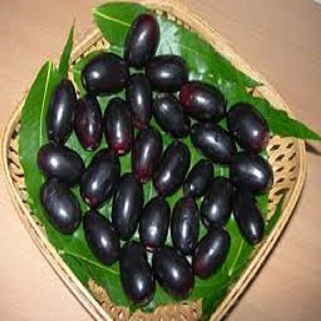 Fresh jamun fruit premium export quality jamun java plum for wholesale ...
