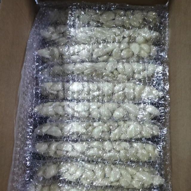 Chinese fresh peeled garlic, vacuum packed peeled garlic cloves from ...