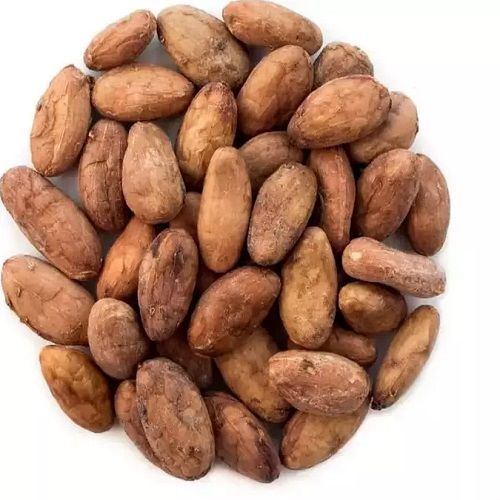 High Quality Cocoa Beans 100% Cocoa Beans Type Cacao Variety ARIBA ...